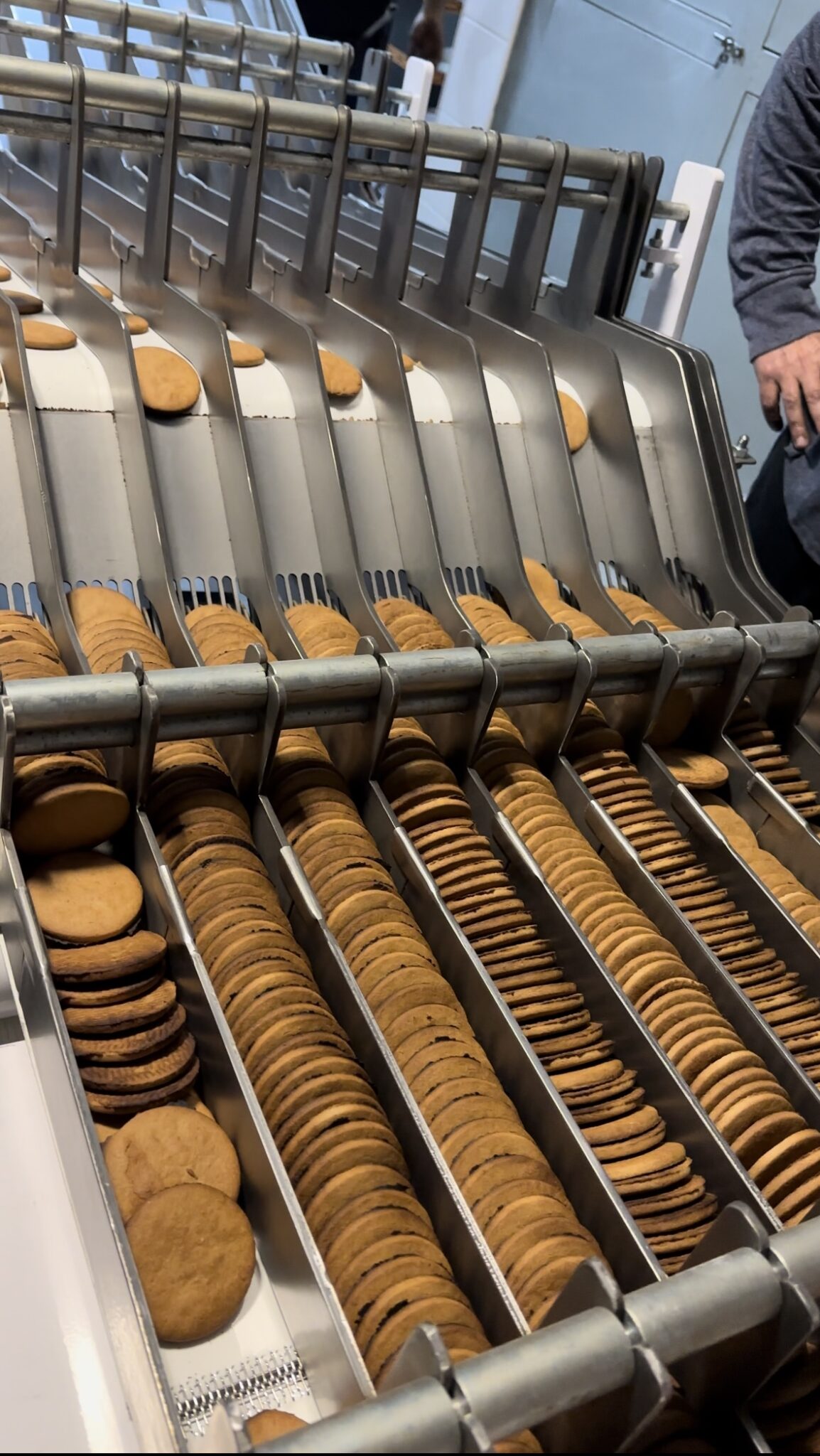 Apilador – Agrupador de galletas – Ralem, Máquinas y Hornos para la ...