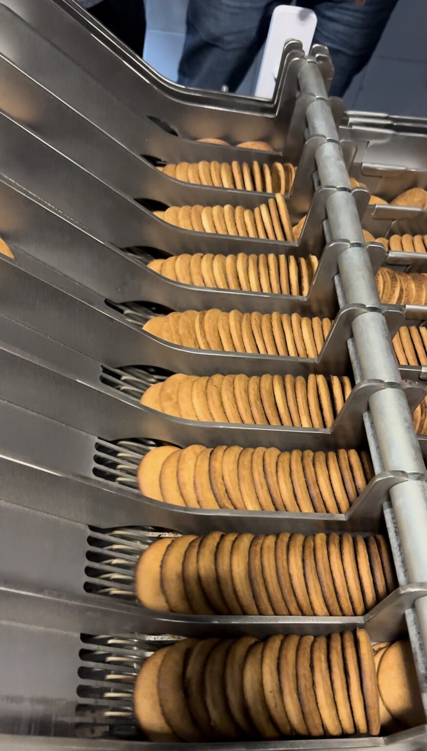 Apilador – Agrupador de galletas – Ralem, Máquinas y Hornos para la ...